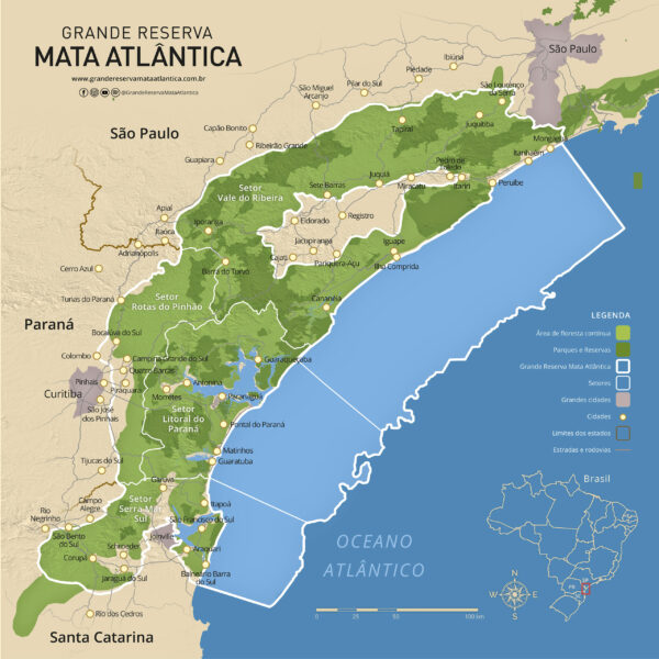 Portal da Mata Atlântica - Grande Reserva Mata Atlântica